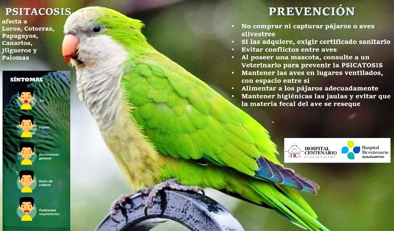 Alerta preventivo por brote de Psitacosis | GENESIS24.NET > Portal ...