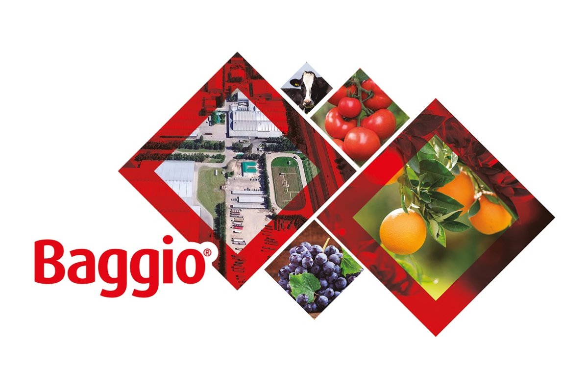 Uno de los hermanos Baggio denuncia que están vaciando la firma RPB S.A. y desde su directorio ...