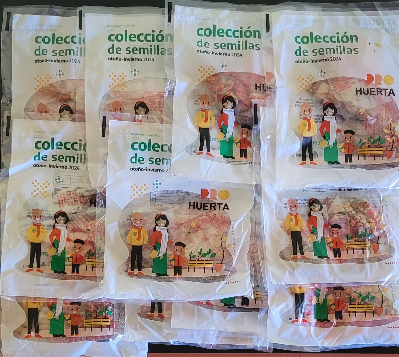Caseros: Entrega de semillas Pro-Huerta | GENESIS24.NET > Portal ...