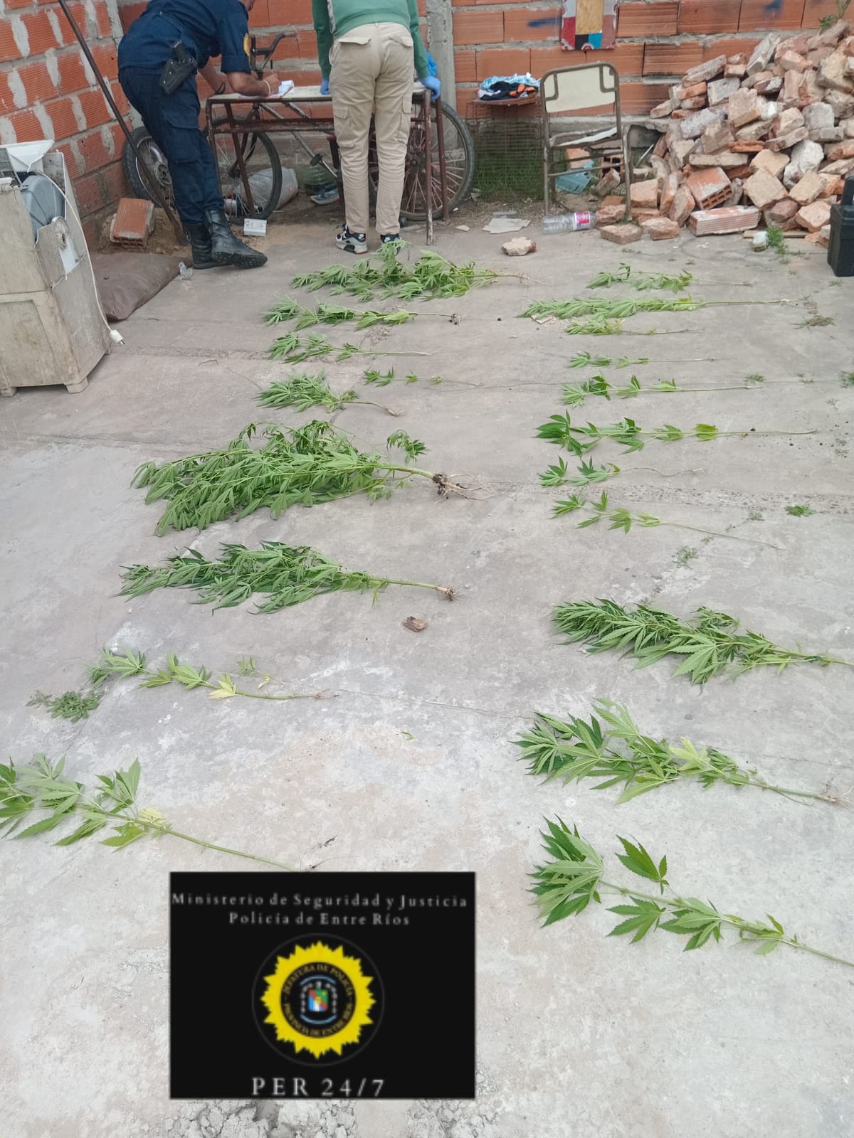 Concepción del Uruguay: Allanan vivienda en relación a un robo y terminan secuestrando 20 ...