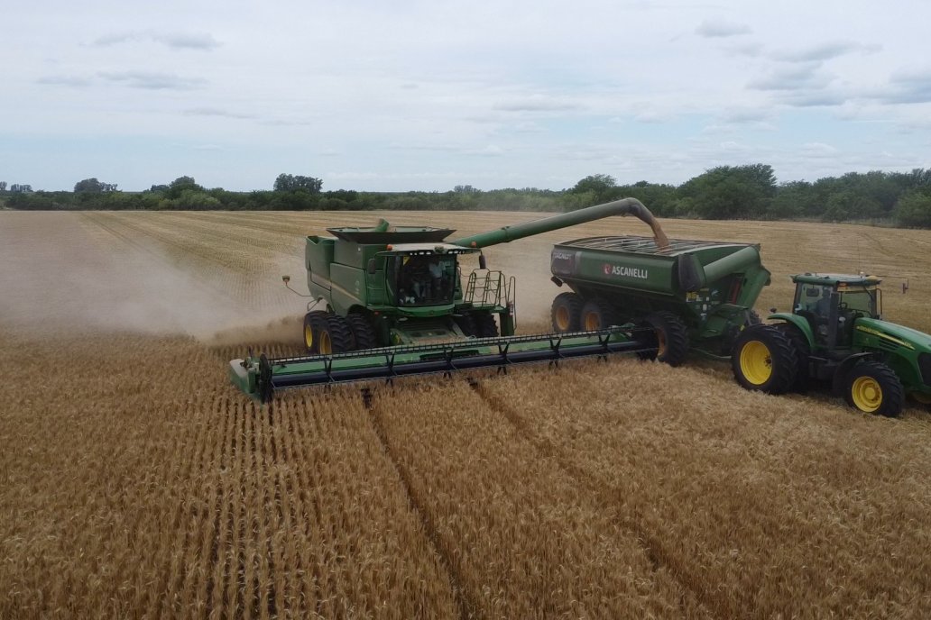 Las ventas al mundo de los frutos del agro, y derivados, van en suba ...