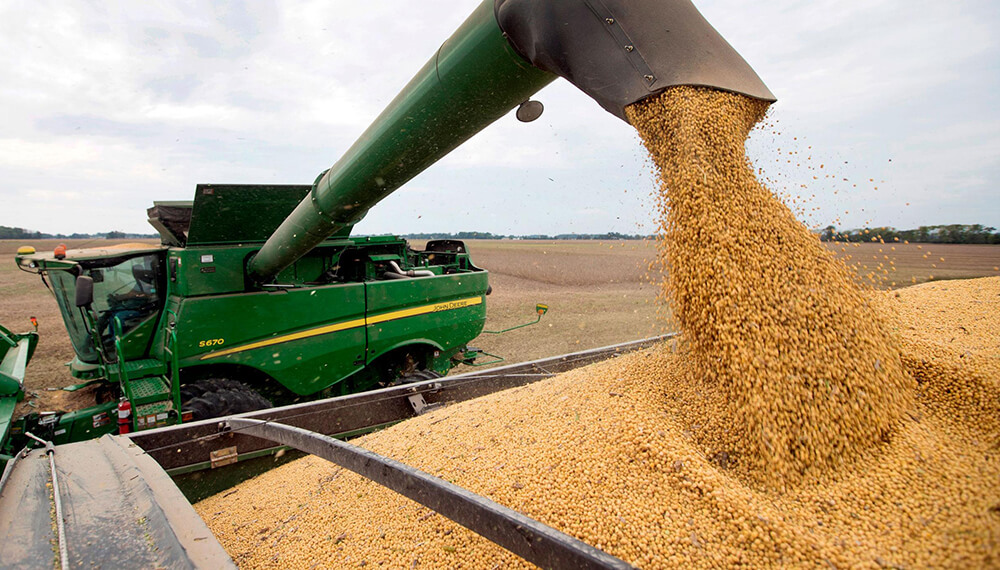 Datos concretos prueban que cayó 22% la producción de soja | GENESIS24 ...