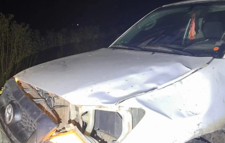 Una camioneta chocó contra un animal vacuno en un camino vecinal ...